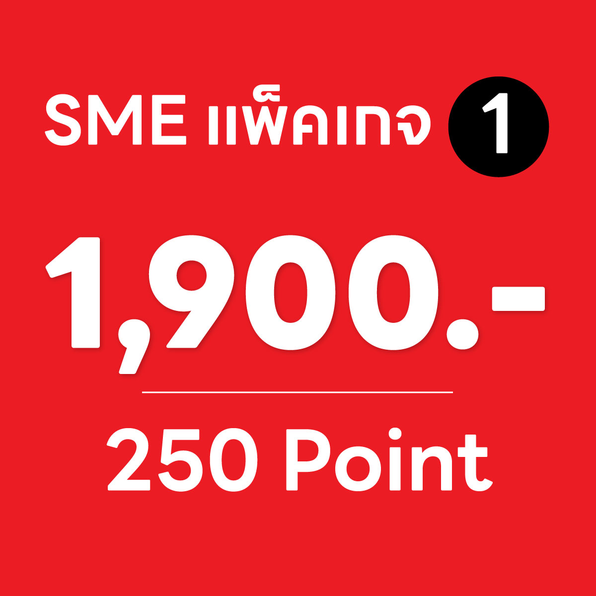 TrueIDea Biz 046 46929 ซื้อแพ็คเกจ SME-1900